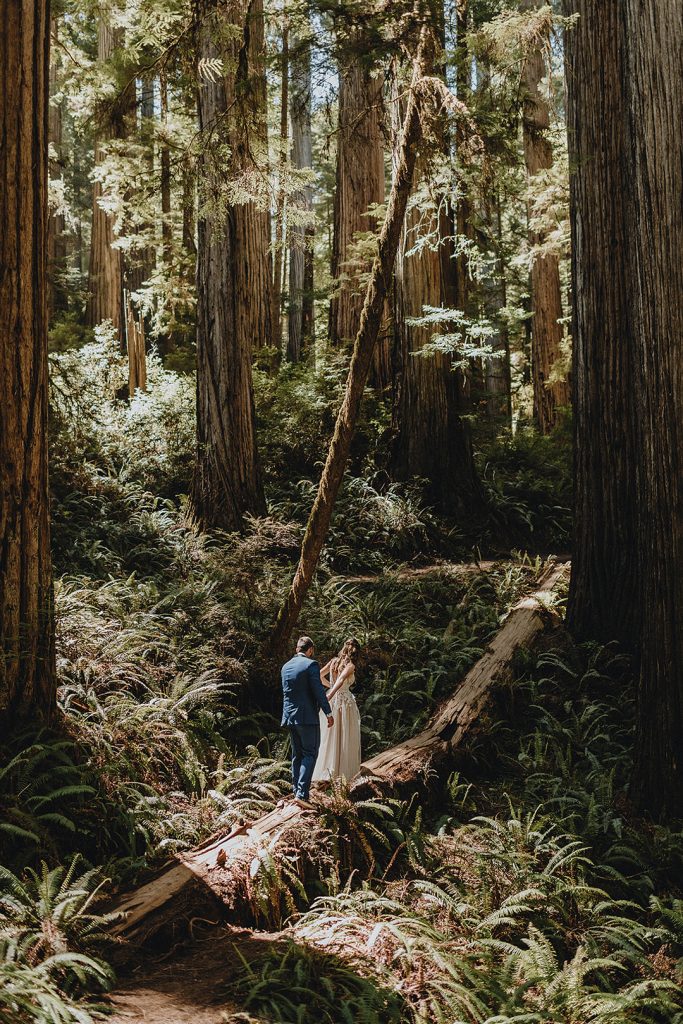Alyssa and Cody's Intimate Elopement in the Redwoods of Northern California - Brides & Weddings ...