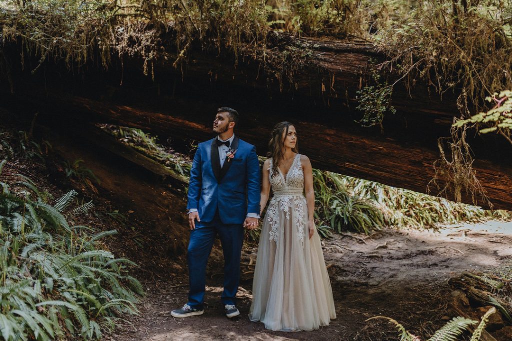 Alyssa and Cody's Intimate Elopement in the Redwoods of Northern California - Brides & Weddings ...