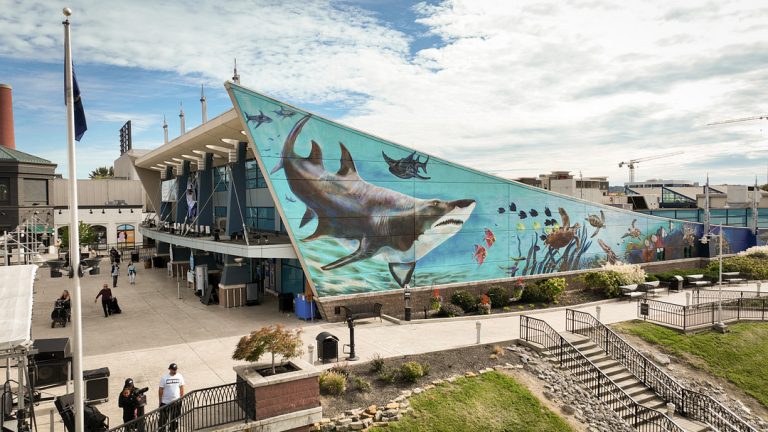 Shannon and David's Aquatic Wedding at Newport Aquarium - Brides ...