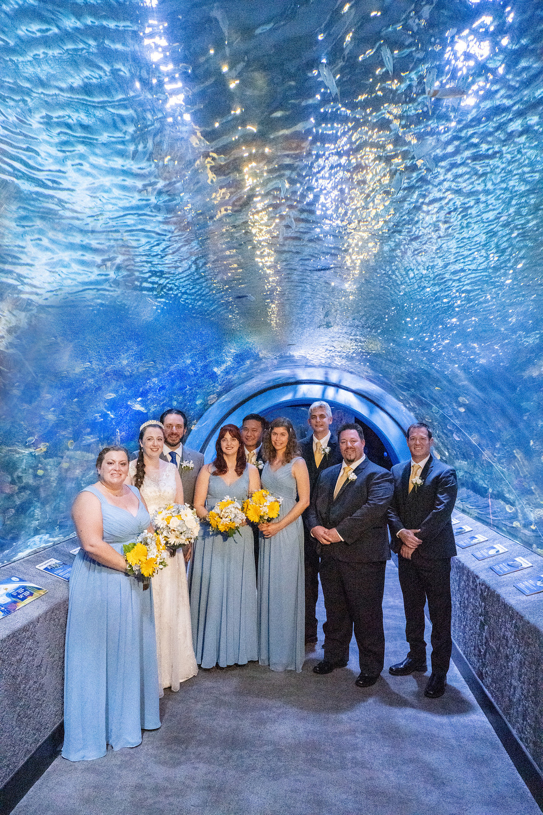 Newport aquarium wedding 60 photos - Astyledwedding.com