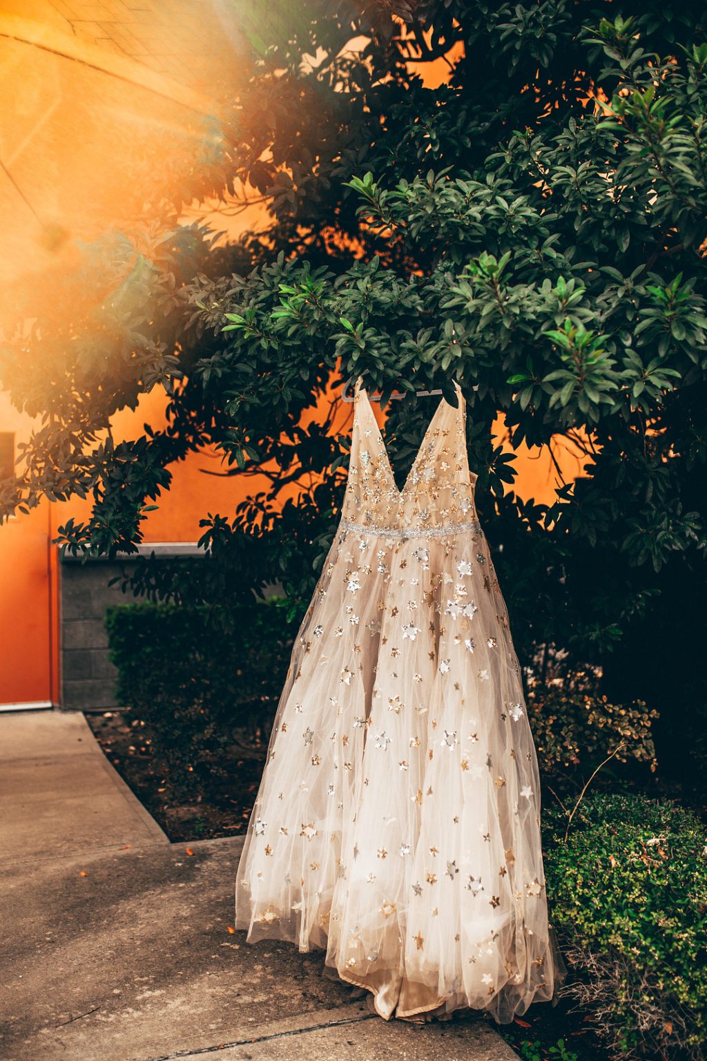 Michelle and Andrew's Dinosaur Wedding at the Orlando Science Center ...