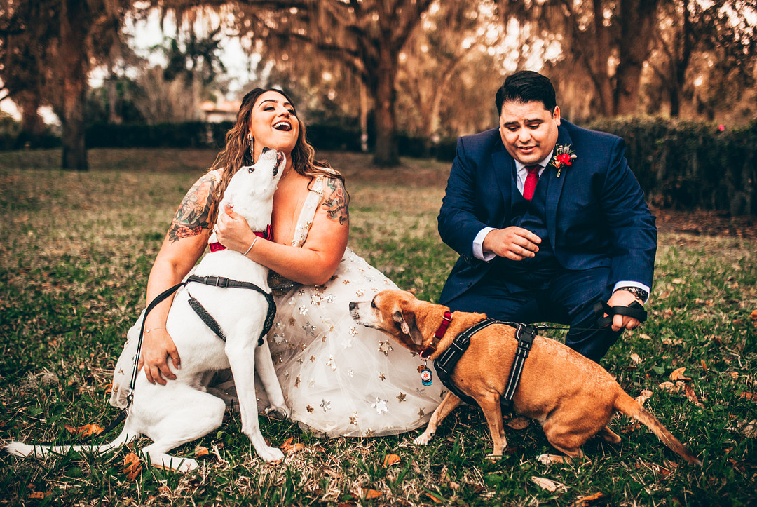 Michelle and Andrew's Dinosaur Wedding at the Orlando Science Center ...