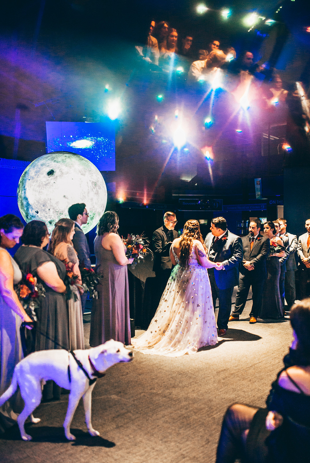 Michelle and Andrew's Dinosaur Wedding at the Orlando Science Center ...