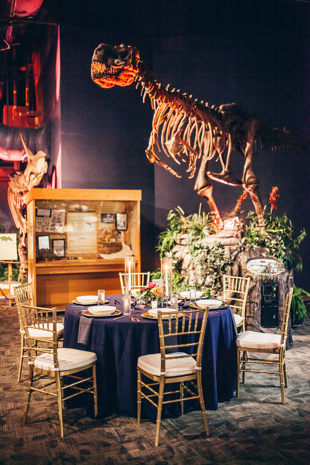 Michelle and Andrew's Dinosaur Wedding at the Orlando Science Center ...