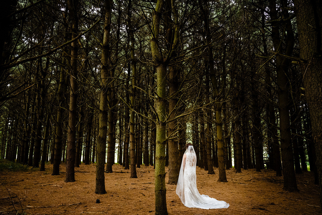 Alex and Haley's Fall Wedding at Buss Farms - Brides & Weddings Magazine