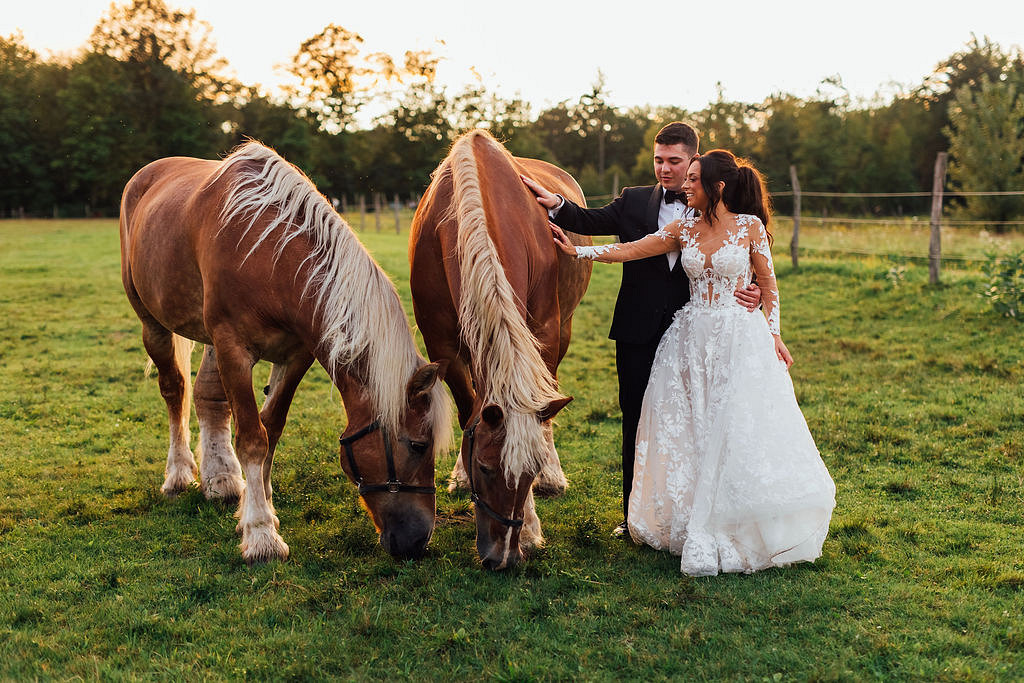Erica and Frank’s Stunning Farm Wedding with Horses and a Magical ...